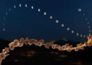 The Moon’s Phases: A Quranic Simile with Dates in the Sky – Infiniti Islam